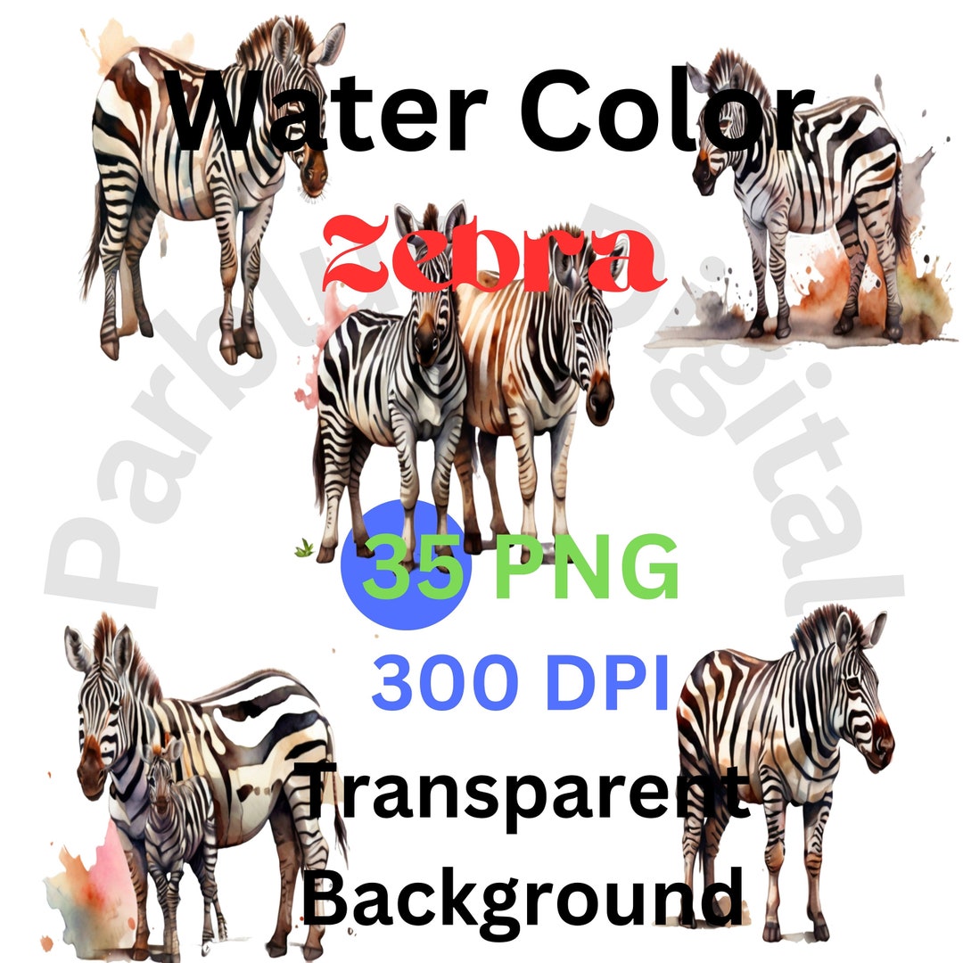 35 Zebra With Transparent Background Clip Art,high Quality Png,striped ...