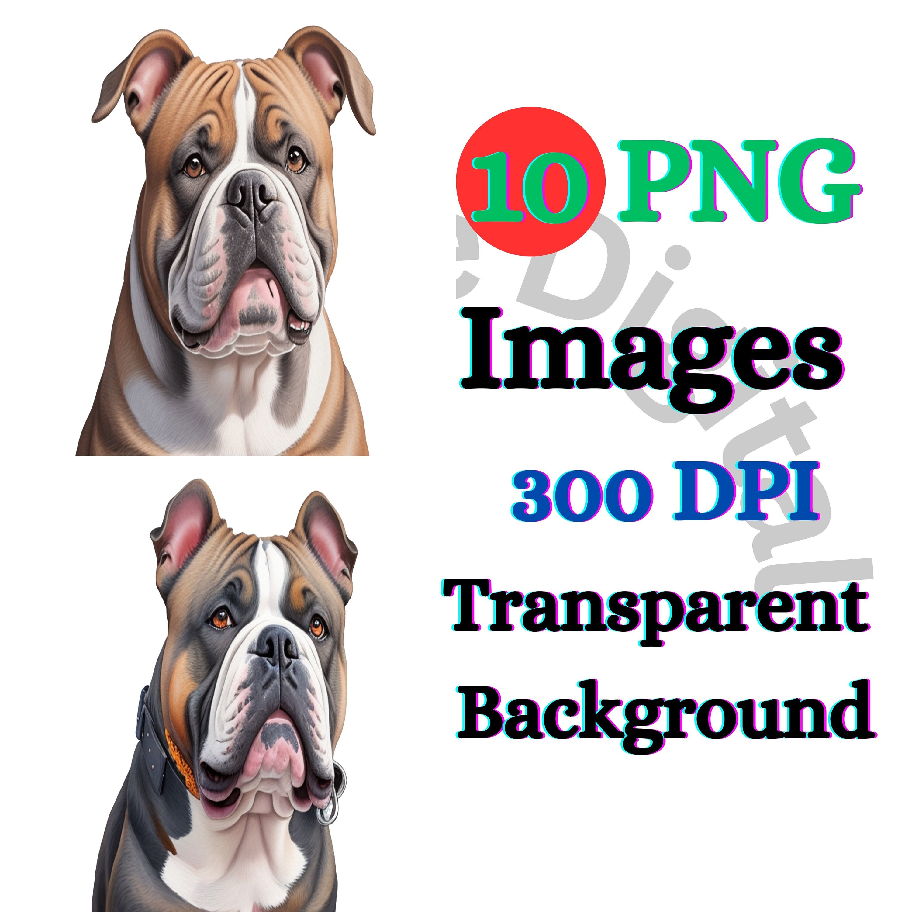 10 Dog_american Bully Transparent Backgrounds Clip Art, High Quality ...