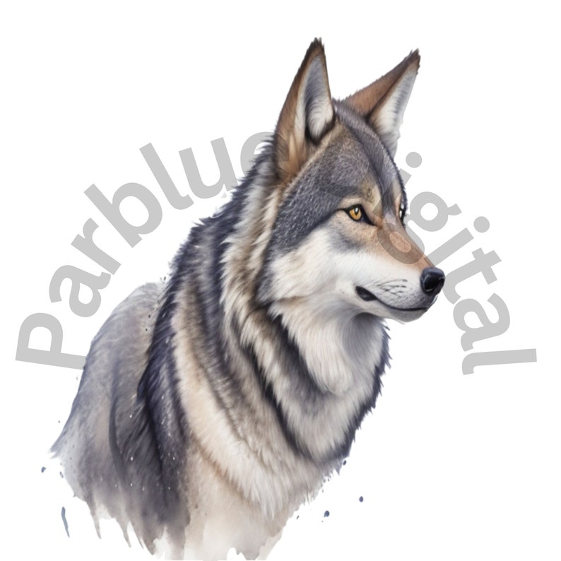 12 Wild Wolf With Transparent Background Clip Art,high Quality Pngs ...
