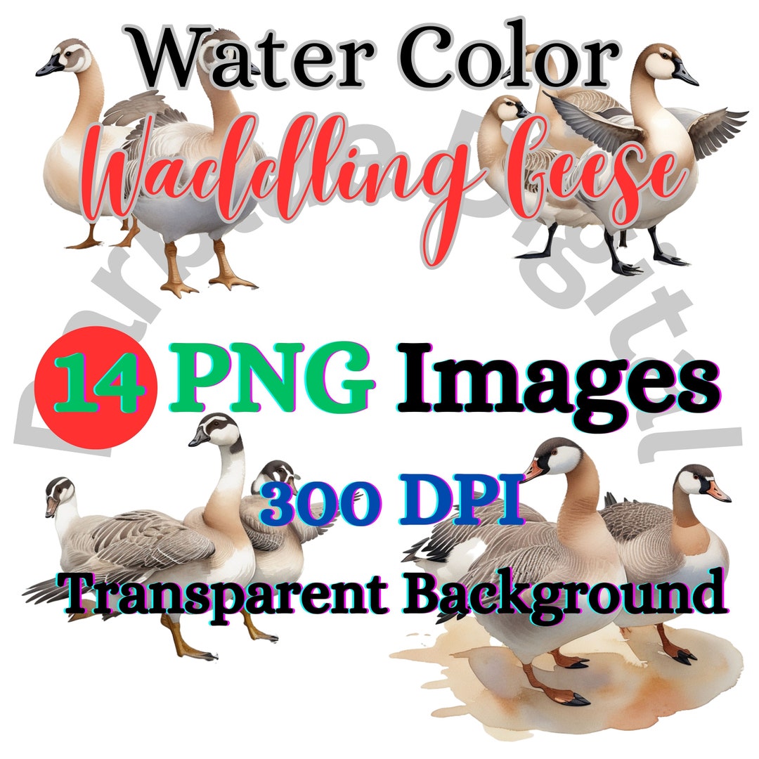 Waddling Geese With Transparent Background Clip Art,high Quality Pngs ...