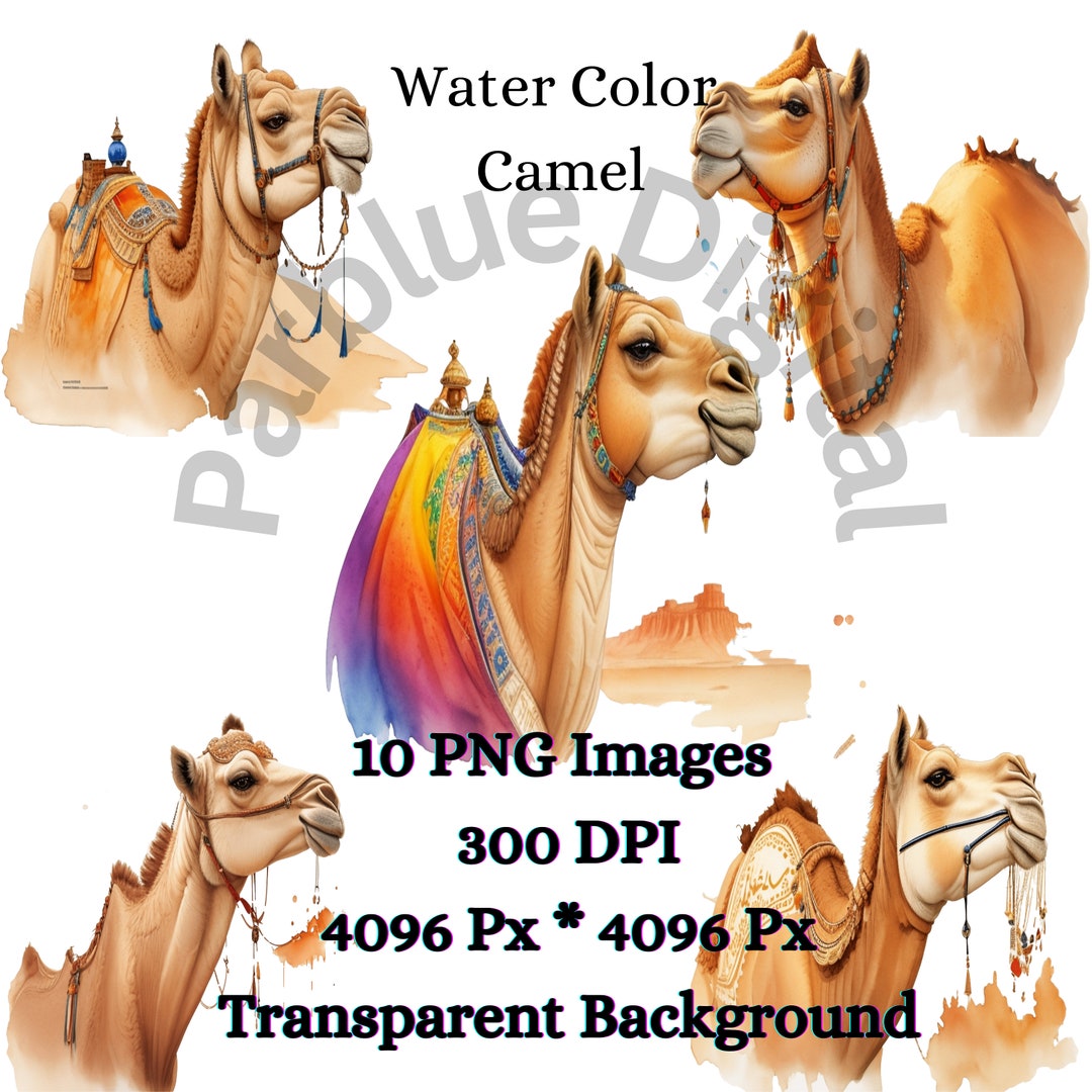 Camel Digital Clip Art,digital Camel Pngs,tribal Bedouin Camel,digital ...