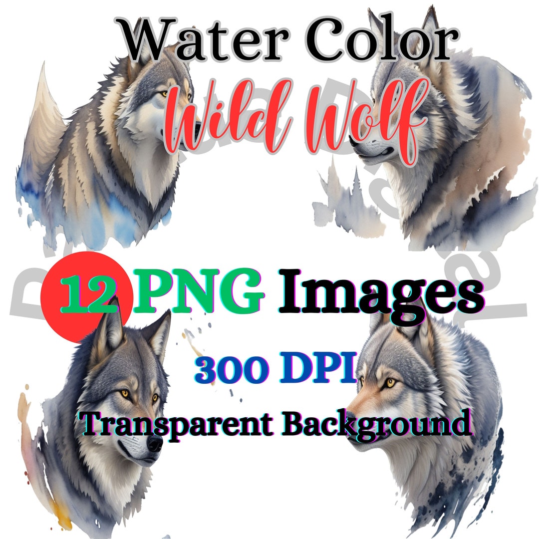 12 Wild Wolf With Transparent Background Clip Art,high Quality Pngs ...