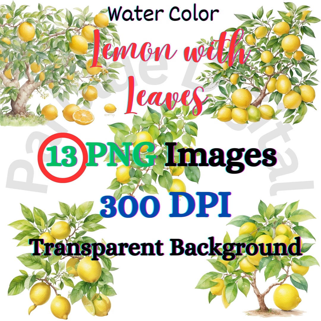 Lemon Fruit Transparent Backgrounds Clip Art,digital Lemon Fruits Pngs ...