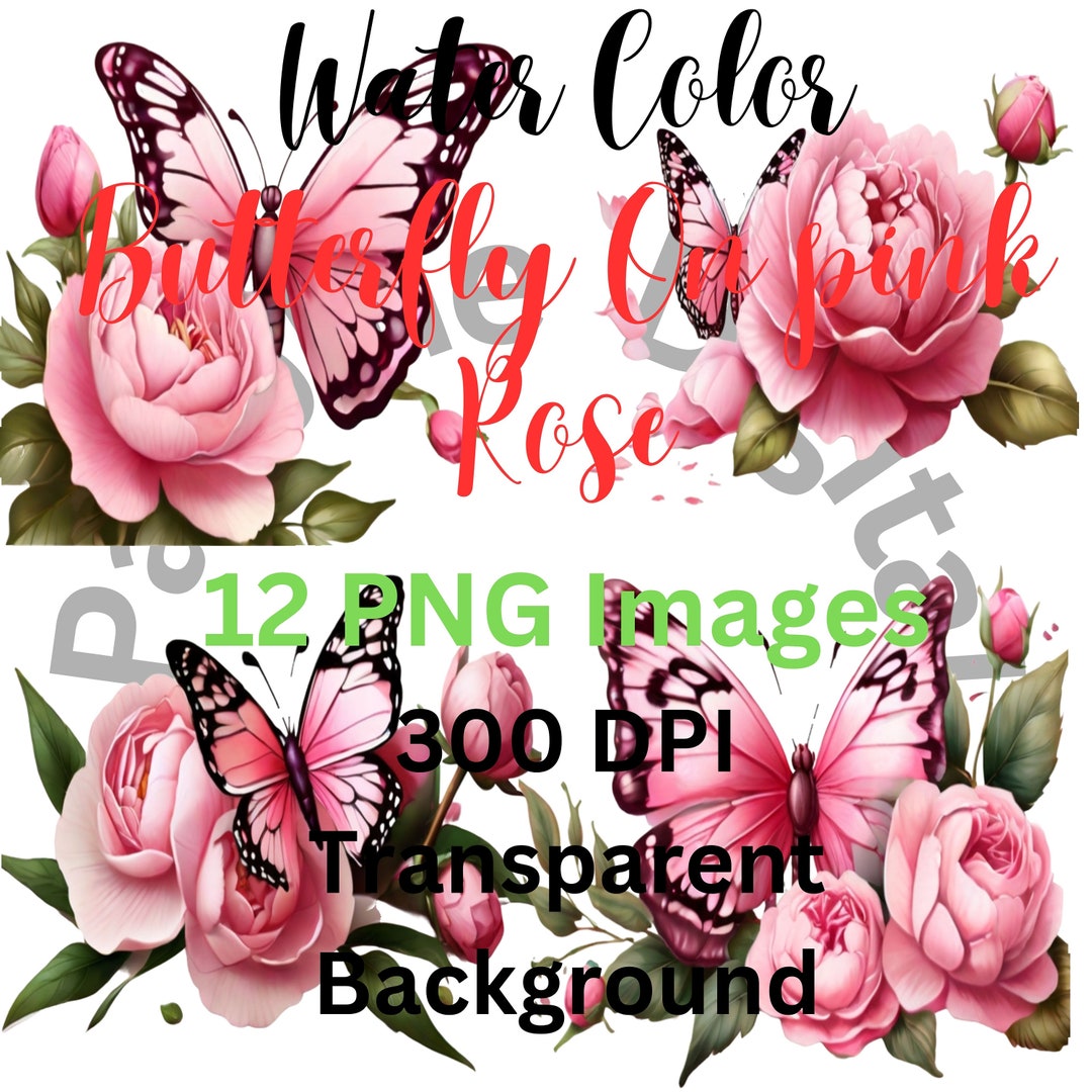 Pink Rose With Transparent Background Clip Art,digital Pink Rose Pngs ...