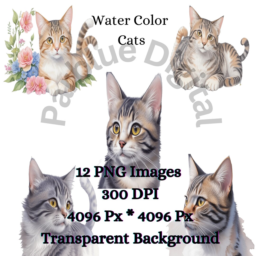 Cute Cat Clip Art,digital Cat Pngs,digital Download Clip Art,kitty Clip ...