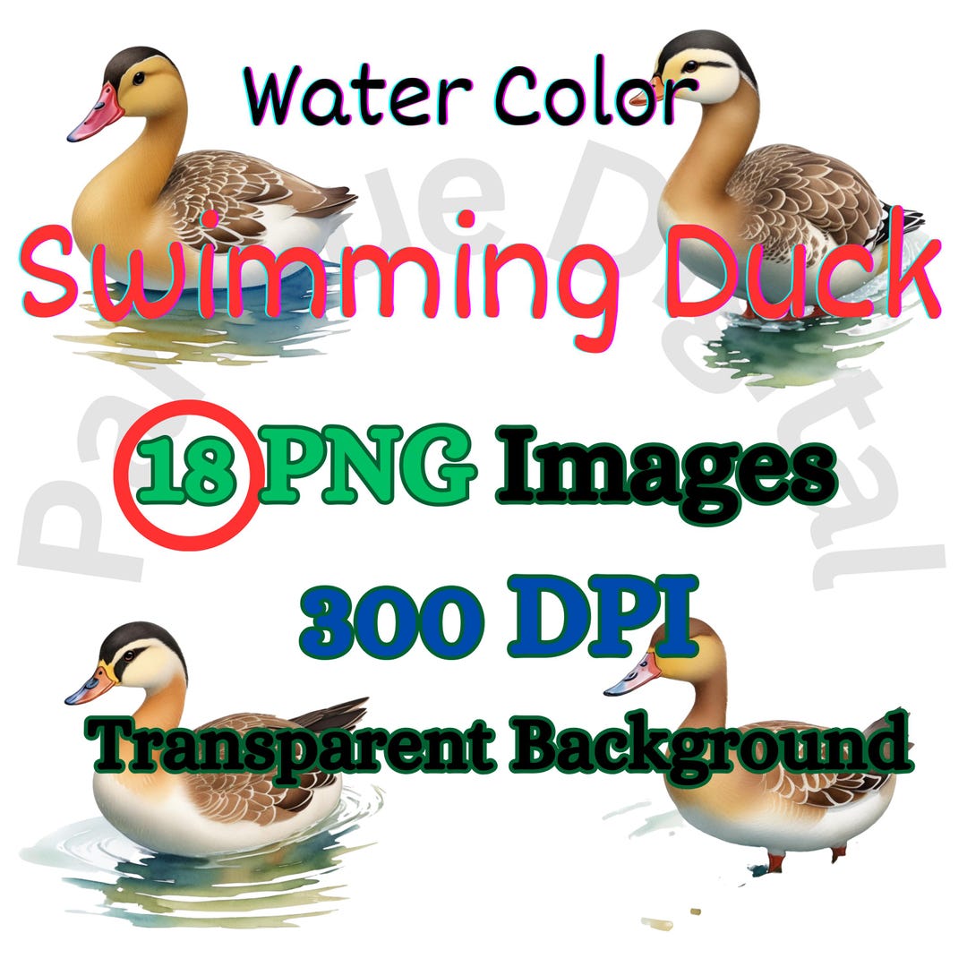 18 Swimming Duck Clipart With Transparent Background Clip Art,high ...