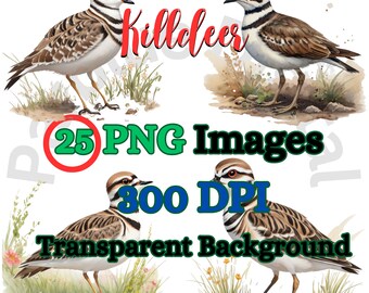 Killdeer, Bird, - Etsy