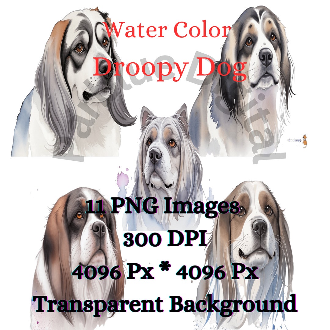 Droopy Dog With Transparent Backgrounds Clip Art 11 High Quality Pngs ...