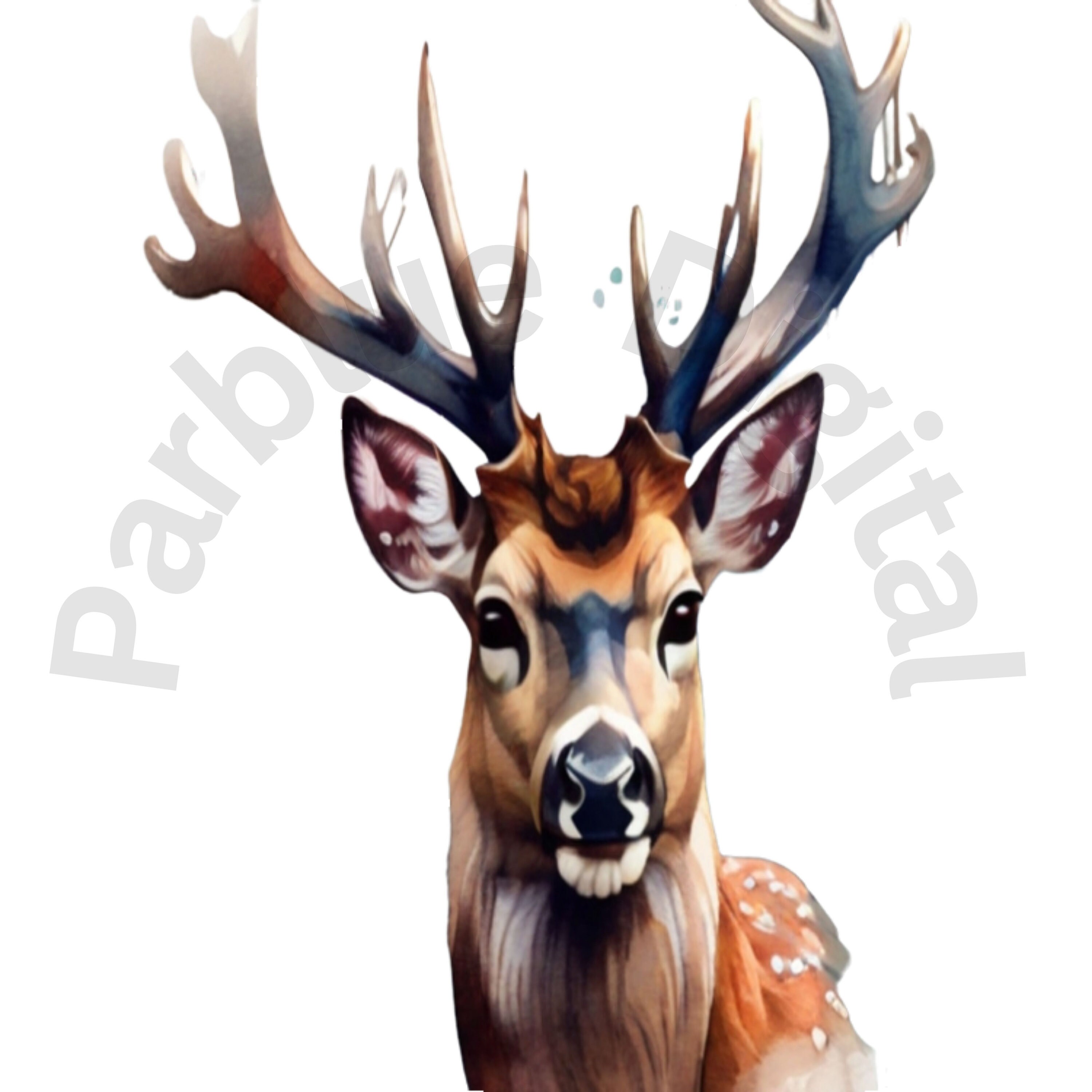 36 Deer With Transparent Background Clip Art,high Quality Deer Png ...