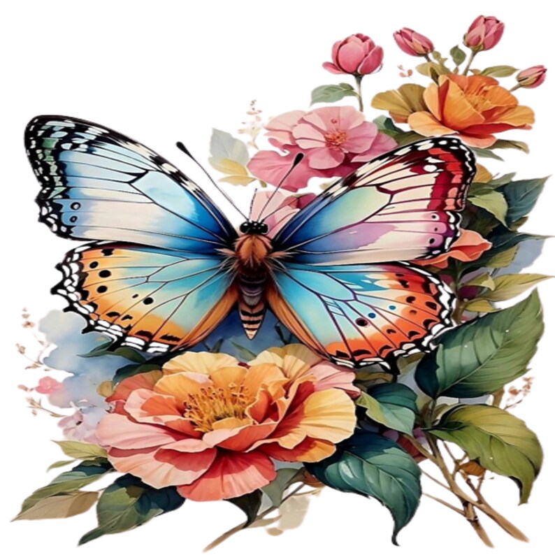 10 Colorful Butterflies With Transparent Backgrounds Clip Art,high ...