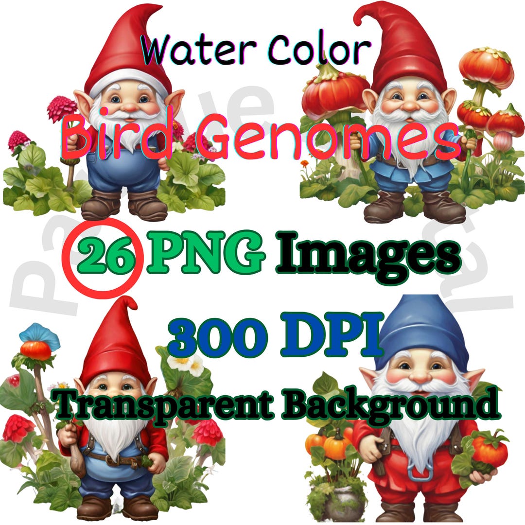 Bird Genomes Clipart With Transparent Background Clip Art,high Quality ...