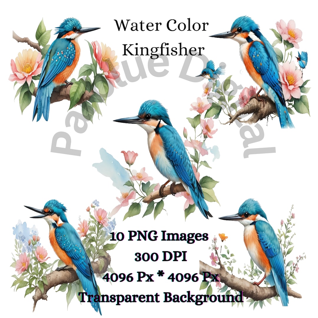 Kingfisher Bird Clip Art,kingfisher Png,digital Kingfisher Bird ...