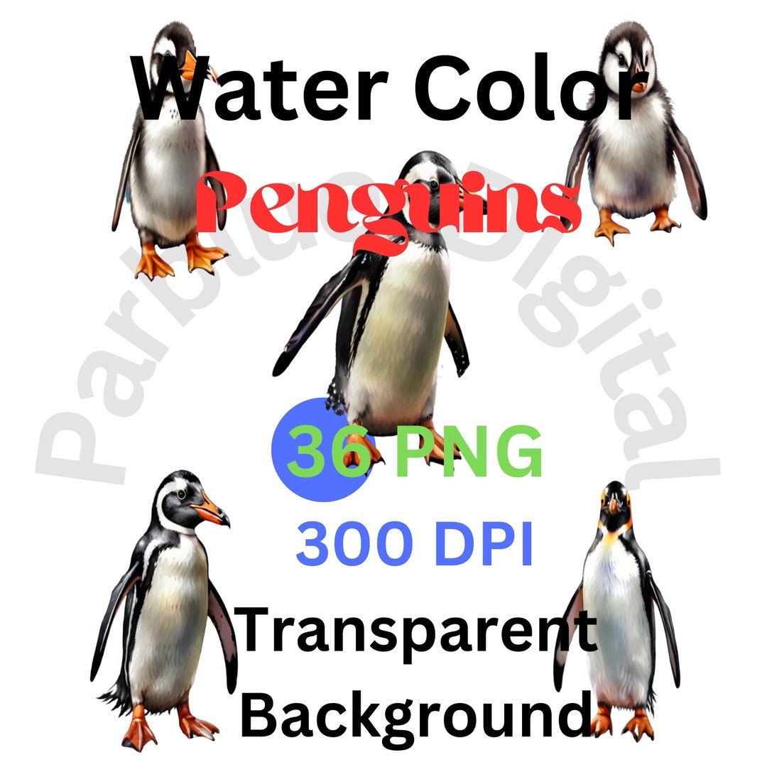 36 Penguin With Transparent Background Clip Art,high Quality Png,penguin Parade,penguin Life ...