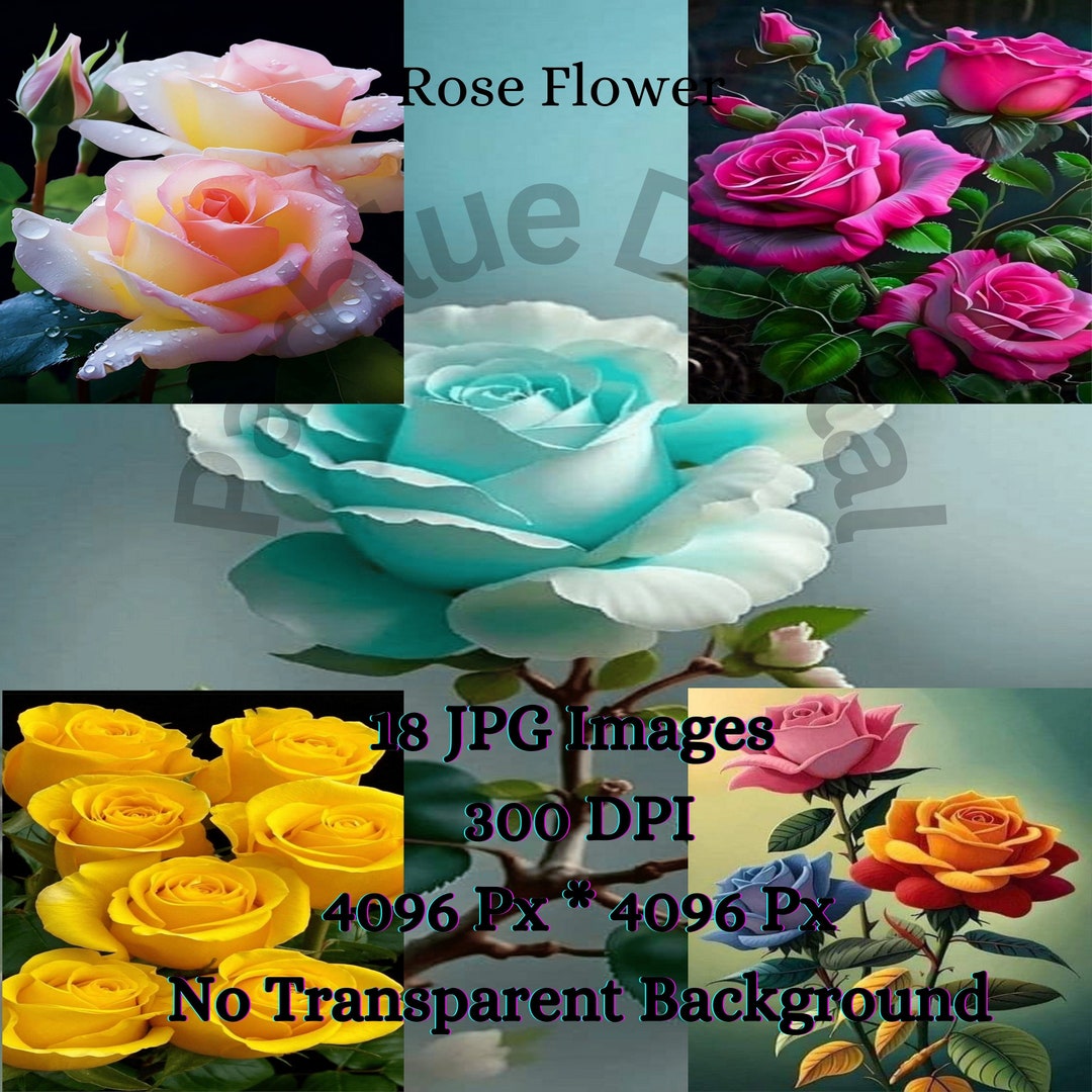 Rose Flower Clip Art,digital Download Jpgs,rose Clip Art,rose Digital ...