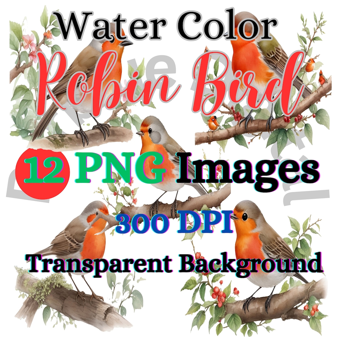 12 Robin Bird Clip Art,robin Bird Pngs,red-breasted Robin,red Robin ...