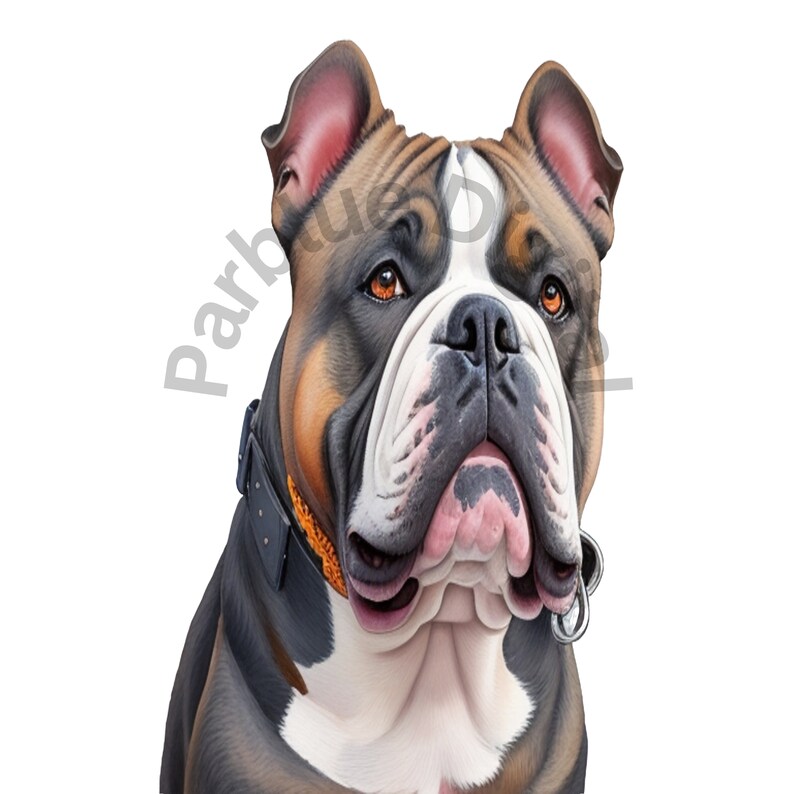 10 Dog_american Bully Transparent Backgrounds Clip Art, High Quality ...