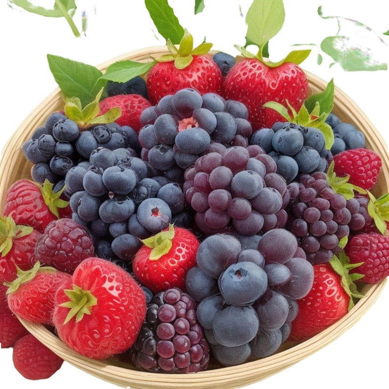 16 Beery With Transparent Background Clip Art,high Quality Png,berries ...