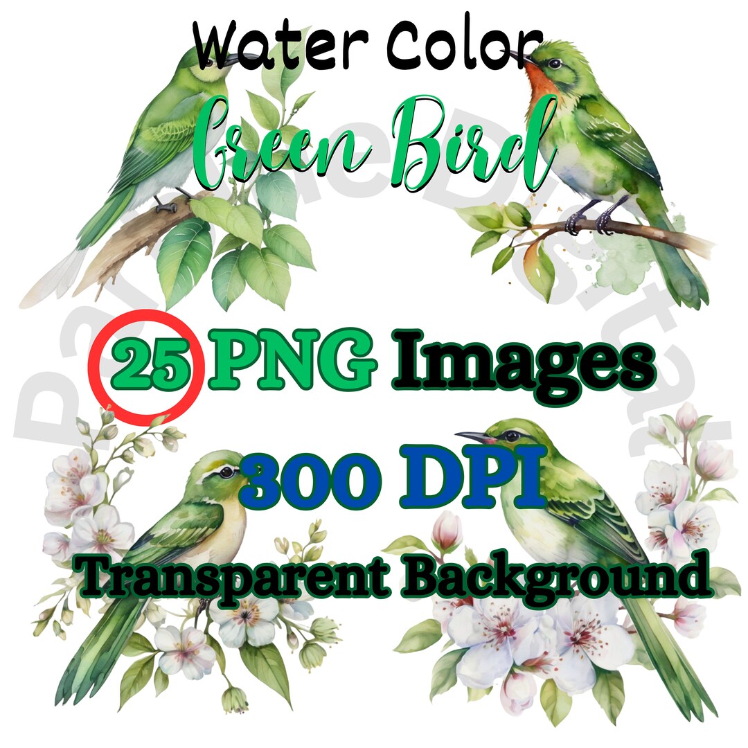 Green Bird With Transparent Background Clip Art,high Quality Png,green ...