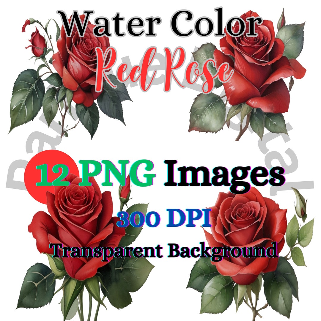 12 Red Rose With Transparent Background Clip Art,high Quality Pngs,rose ...