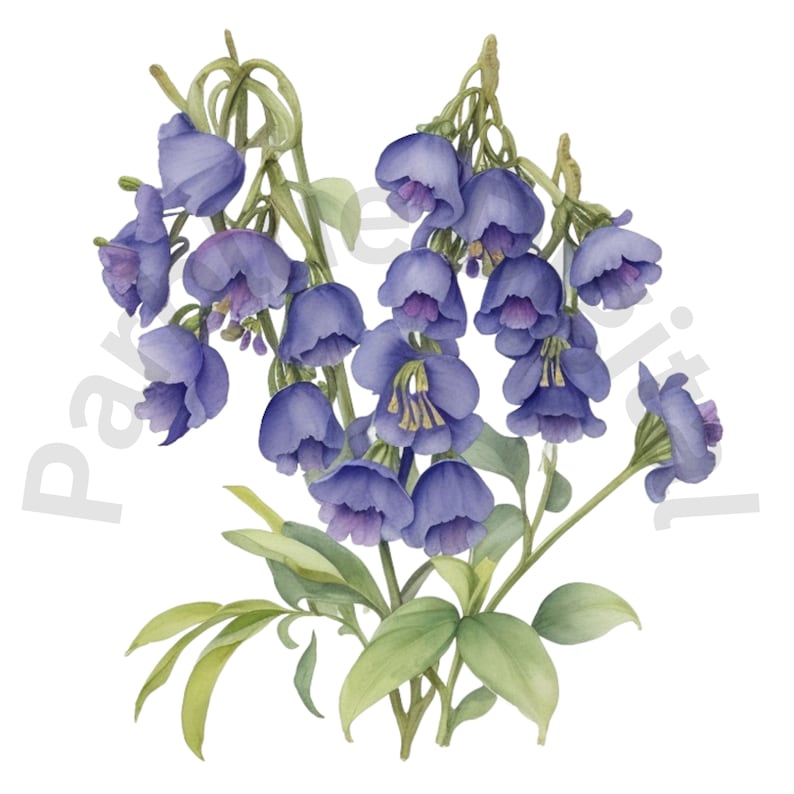 Bluebells With Transparent Background Clip Art,high Quality Png ...