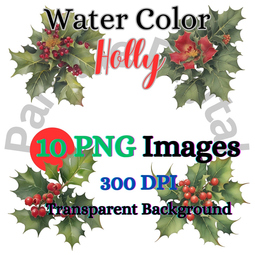 10 Holly With Transparent Background Clip Art,high Quality Pngs,festive ...