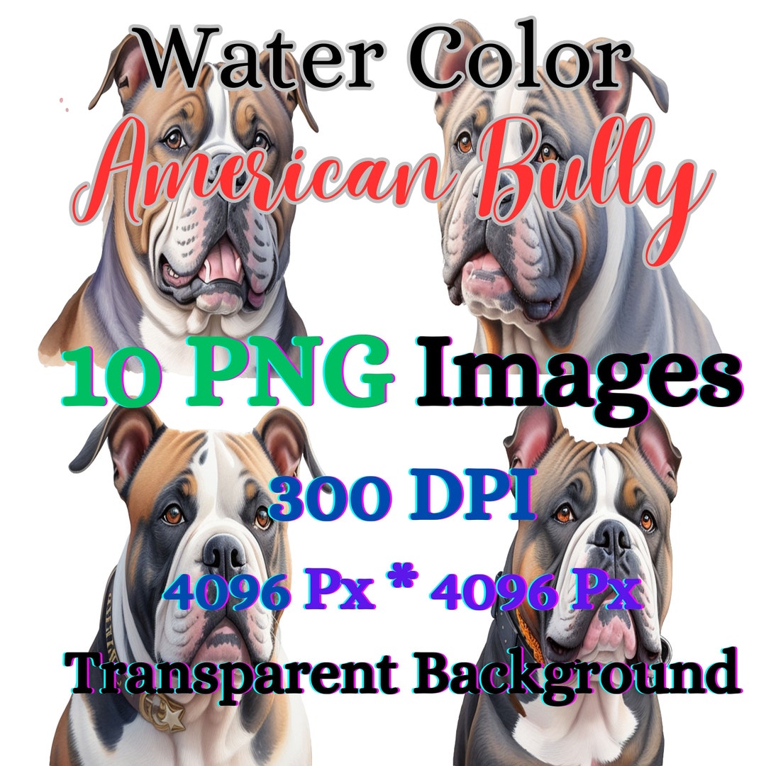 10 Dog_american Bully Transparent Backgrounds Clip Art, High Quality ...