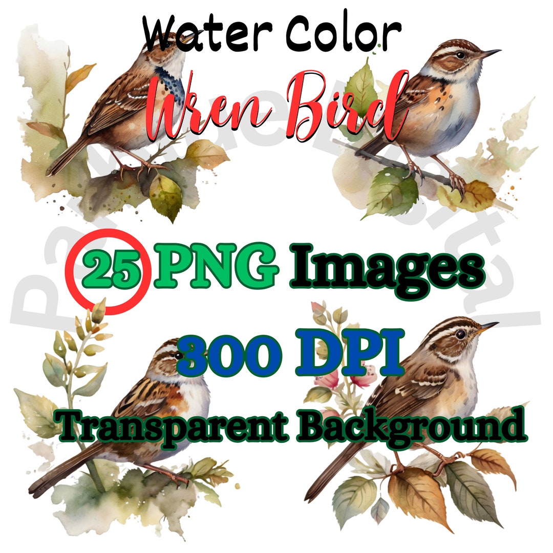 Wren Bird With Transparent Background Clip Art,high Quality Png,wren ...