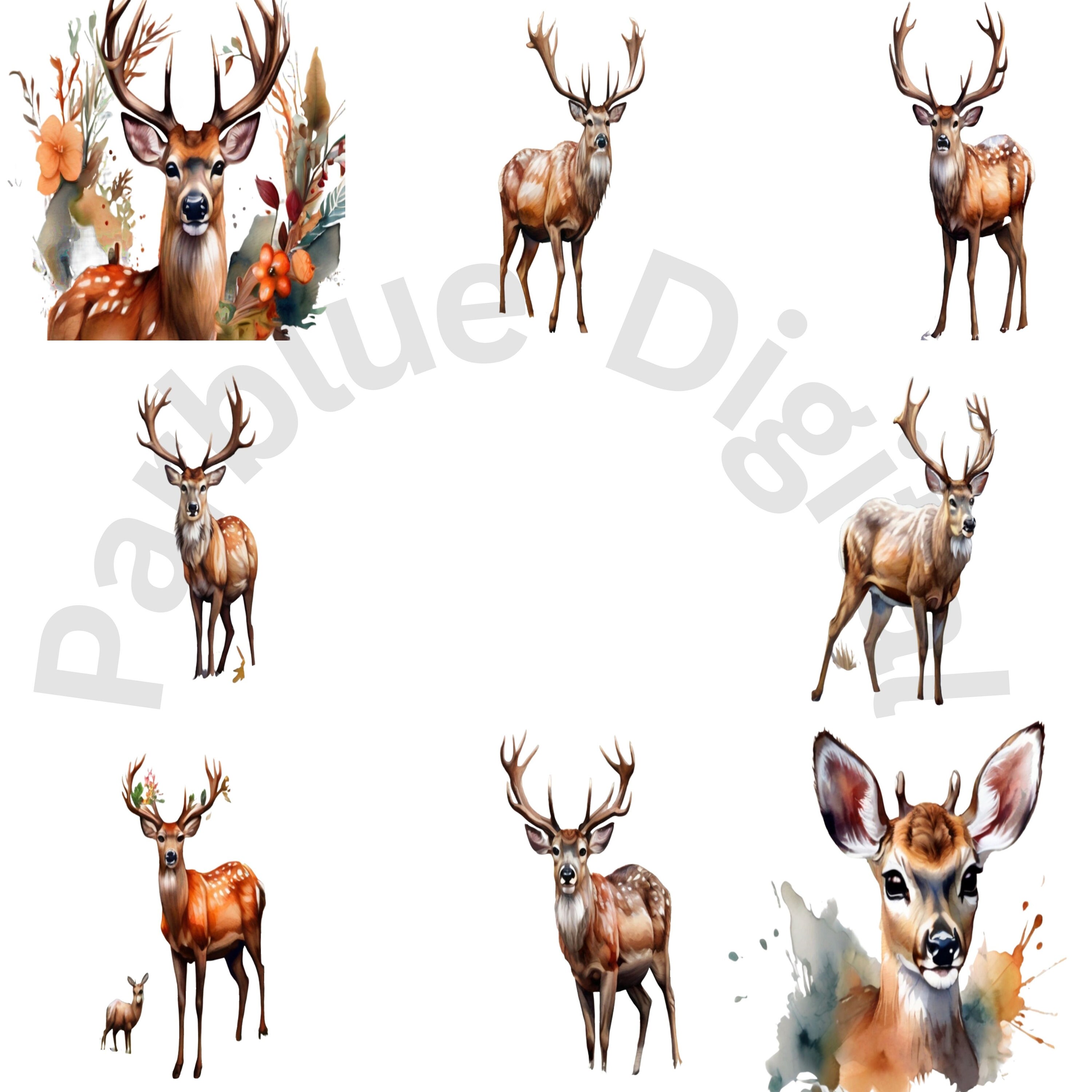36 Deer With Transparent Background Clip Art,high Quality Deer Png ...
