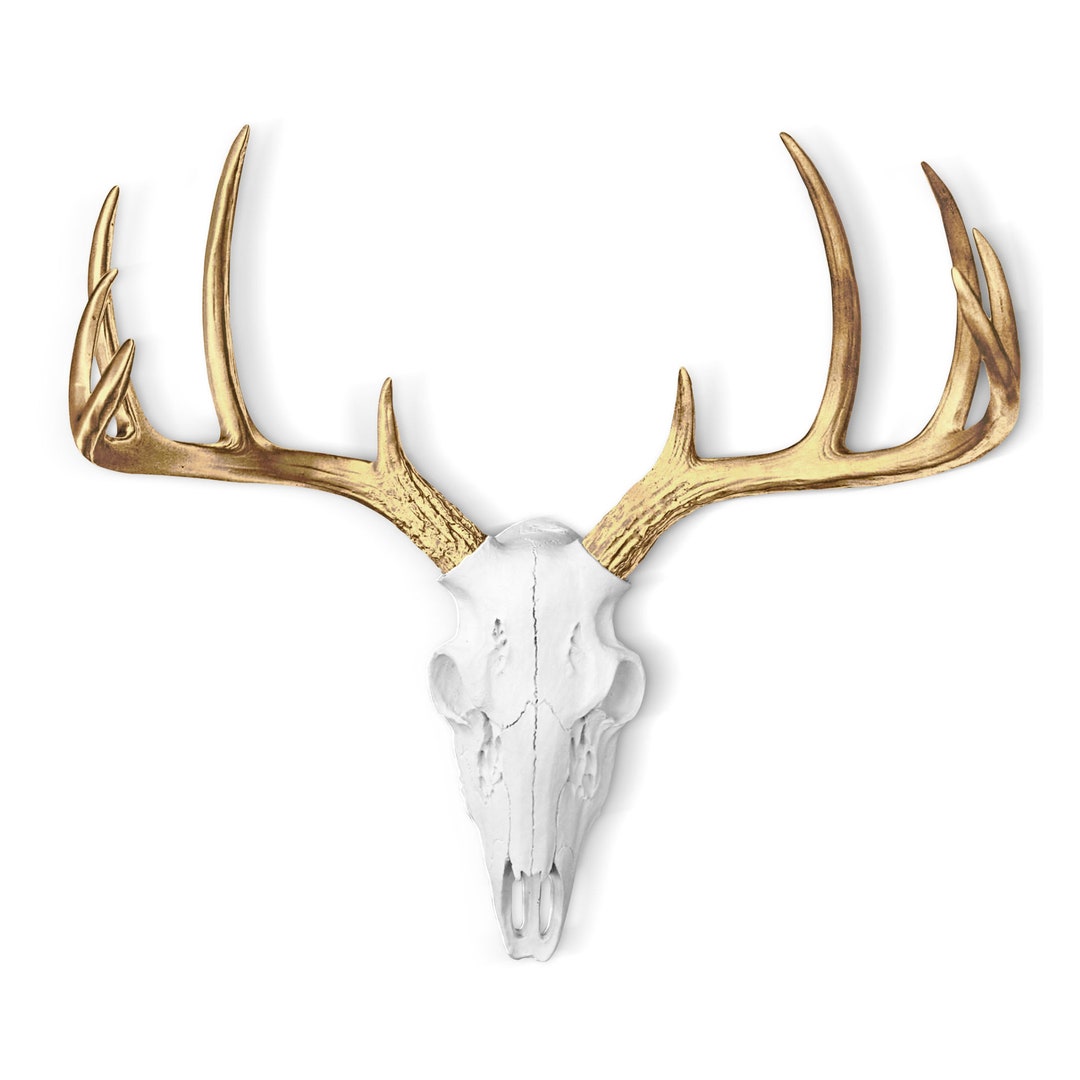 Faux Deer Skull white Gold Skull Mounts Animal Skull - Etsy