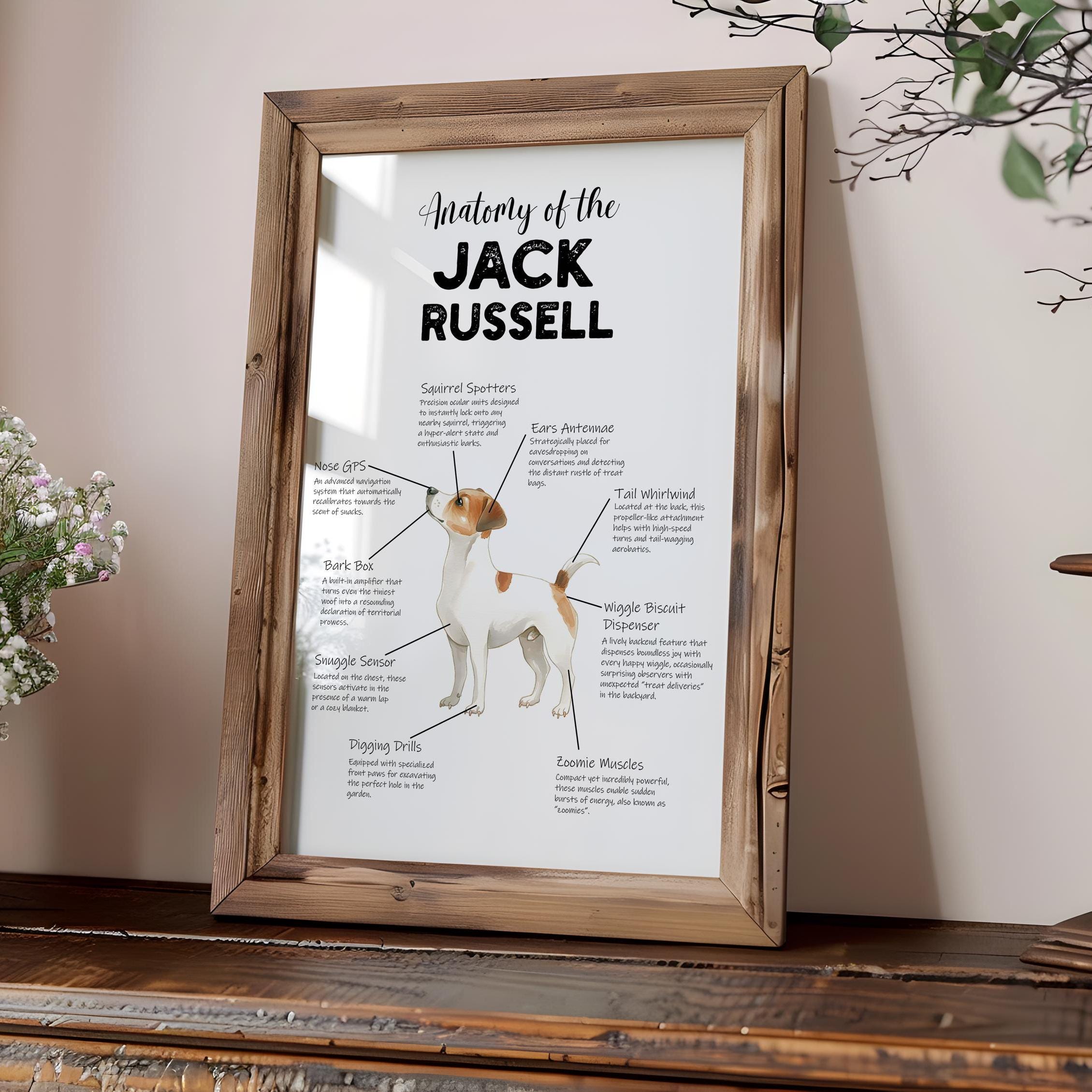 Funny Jack Russell Wall Art Anatomy of the Jack Russell Dog Print Dog ...