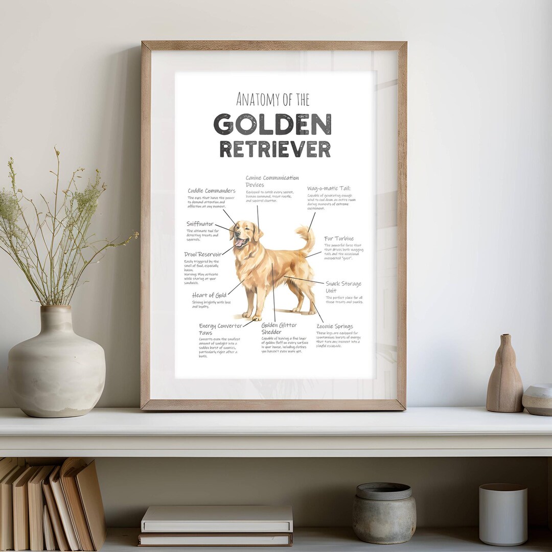 Funny Golden Retriever Anatomy Poster DIGITAL DOWNLOAD Dog Lover Art ...