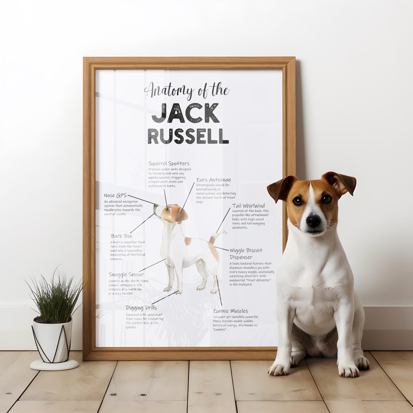 Funny Jack Russell Wall Art Anatomy of the Jack Russell Dog Print Dog ...