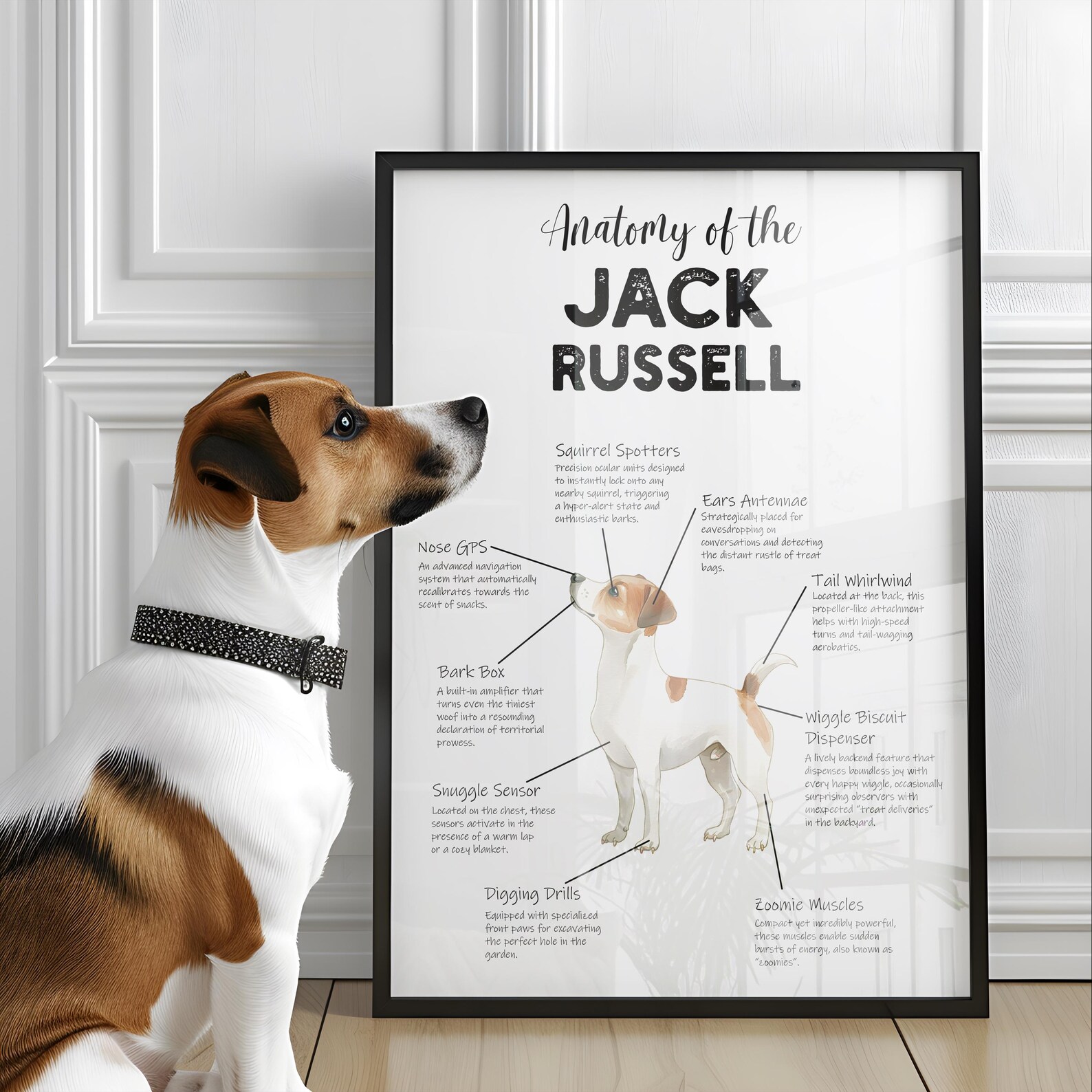 Funny Jack Russell Wall Art Anatomy of the Jack Russell Dog Print Dog ...
