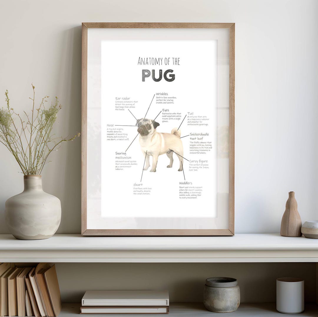Funny Pug Anatomy Poster DIGITAL DOWNLOAD Pug Print for Dog Mom Gift ...