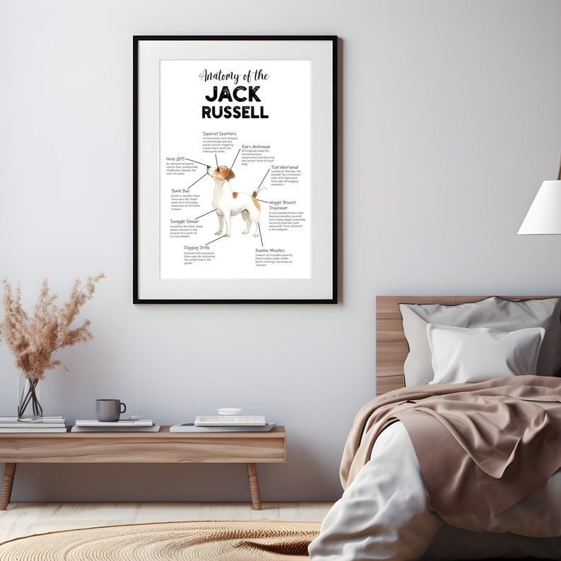 Funny Jack Russell Wall Art Anatomy of the Jack Russell Dog Print ...