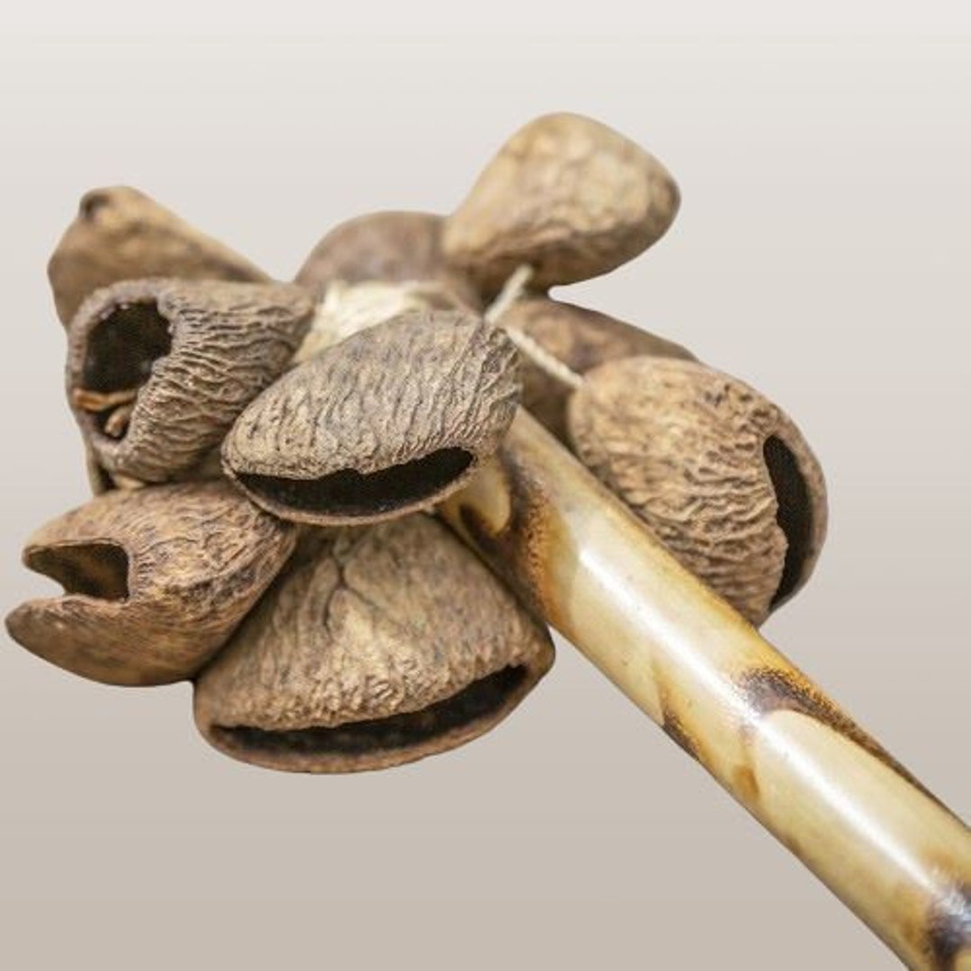 Handmade Pangi-seed Shaker - Etsy