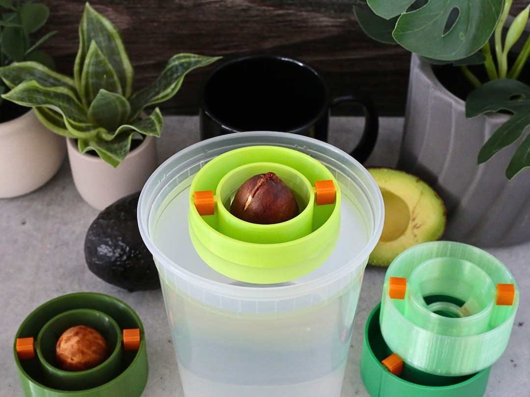 Avocado Seed Floater 2 Piece 3D Print Avocado Propagation Germanation ...
