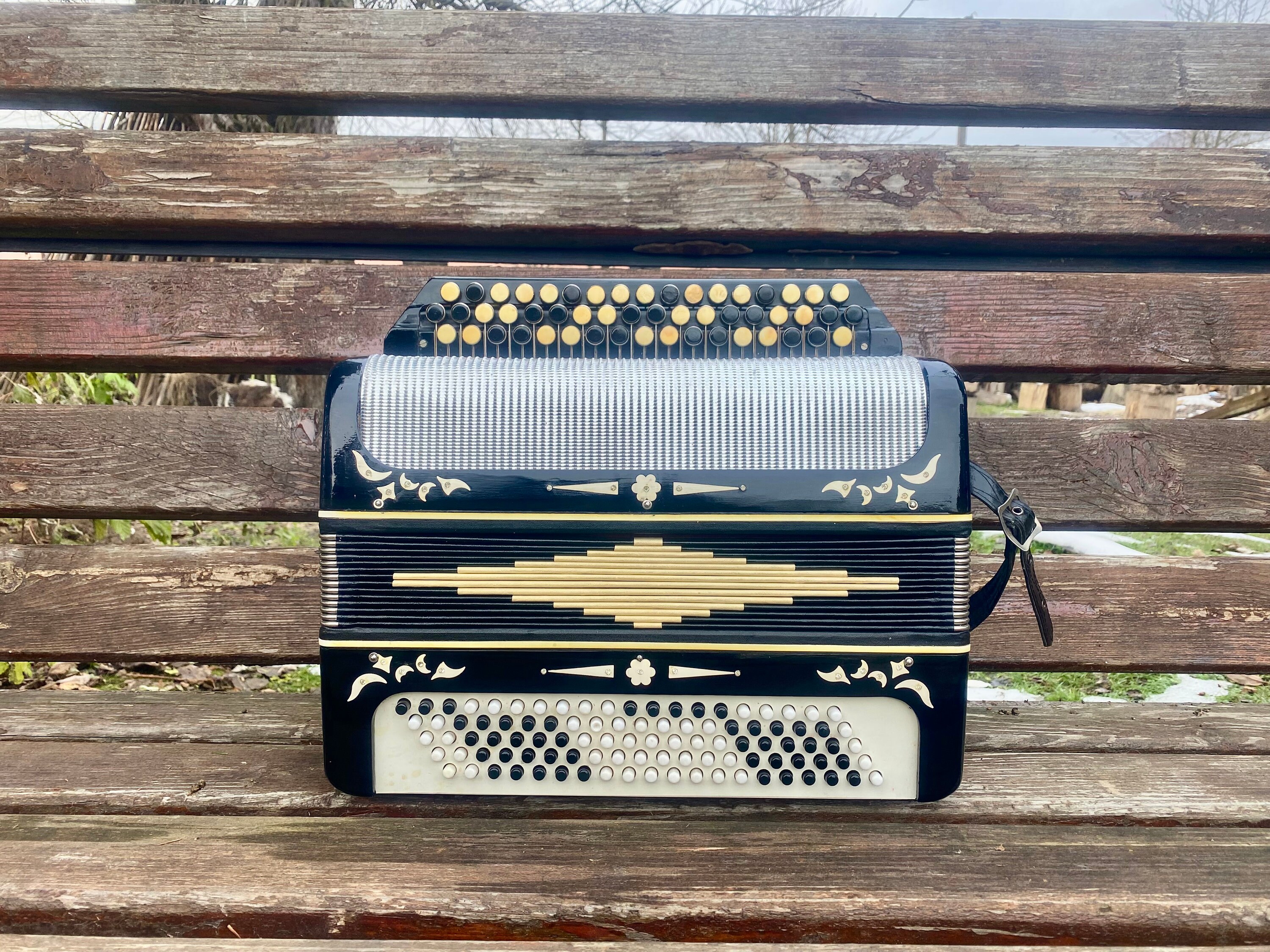Bayan USSR Accordion Accordions Musical Instrument - Etsy