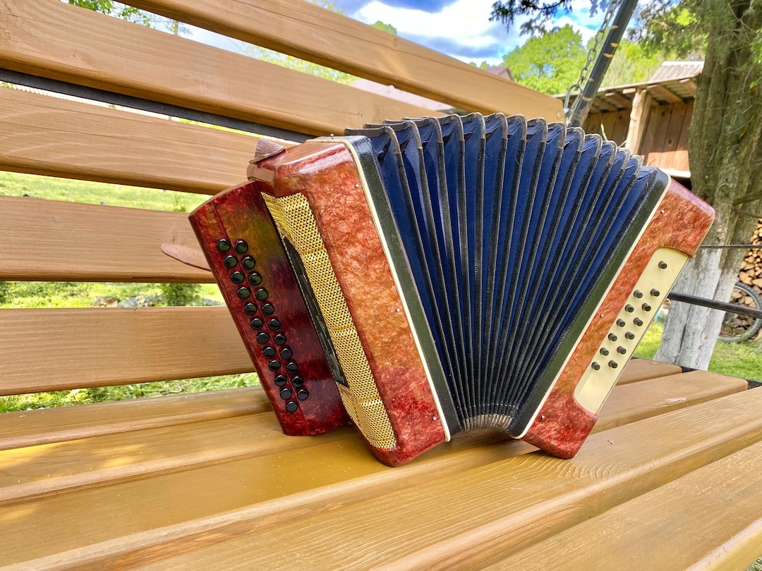 Accordion Sponge Garmoshka ROMASHKA Made in Ukraine Harmonica, Pleasant ...