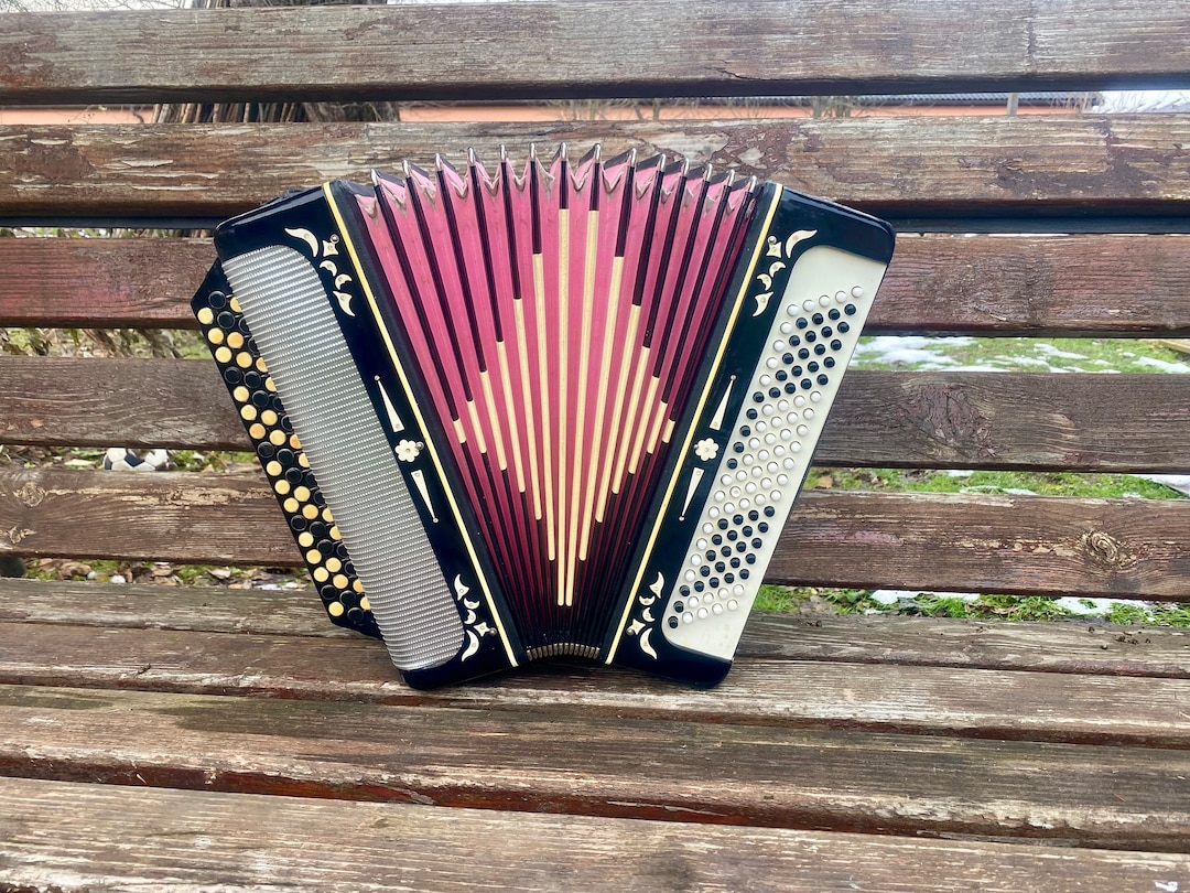 Bayan USSR Accordion Accordions Musical Instrument - Etsy