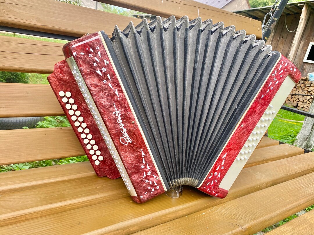 Accordion Sponge Garmoshka Vesna 2 Made in Ukraine Harmonica, Pleasant ...