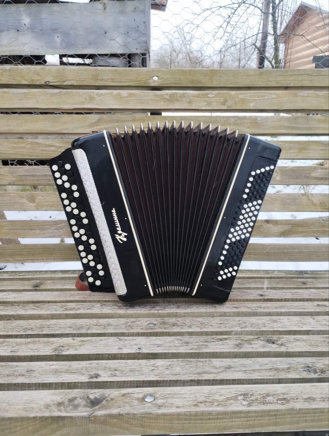 Rare Working Russian Accordion. Bayan, Button Accordion. Bayan Cremine ...