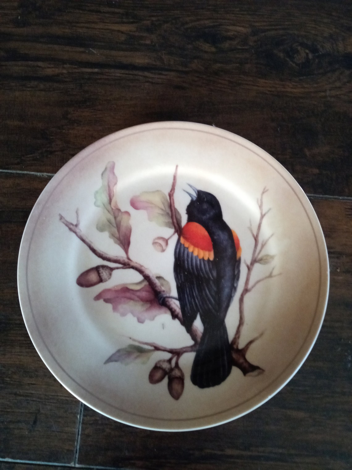 3 WMG Wildlife Bird Plates. Woodpecker, Blue Bird, and Red Wing ...