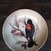 3 WMG Wildlife Bird Plates. Woodpecker, Blue Bird, and Red Wing ...