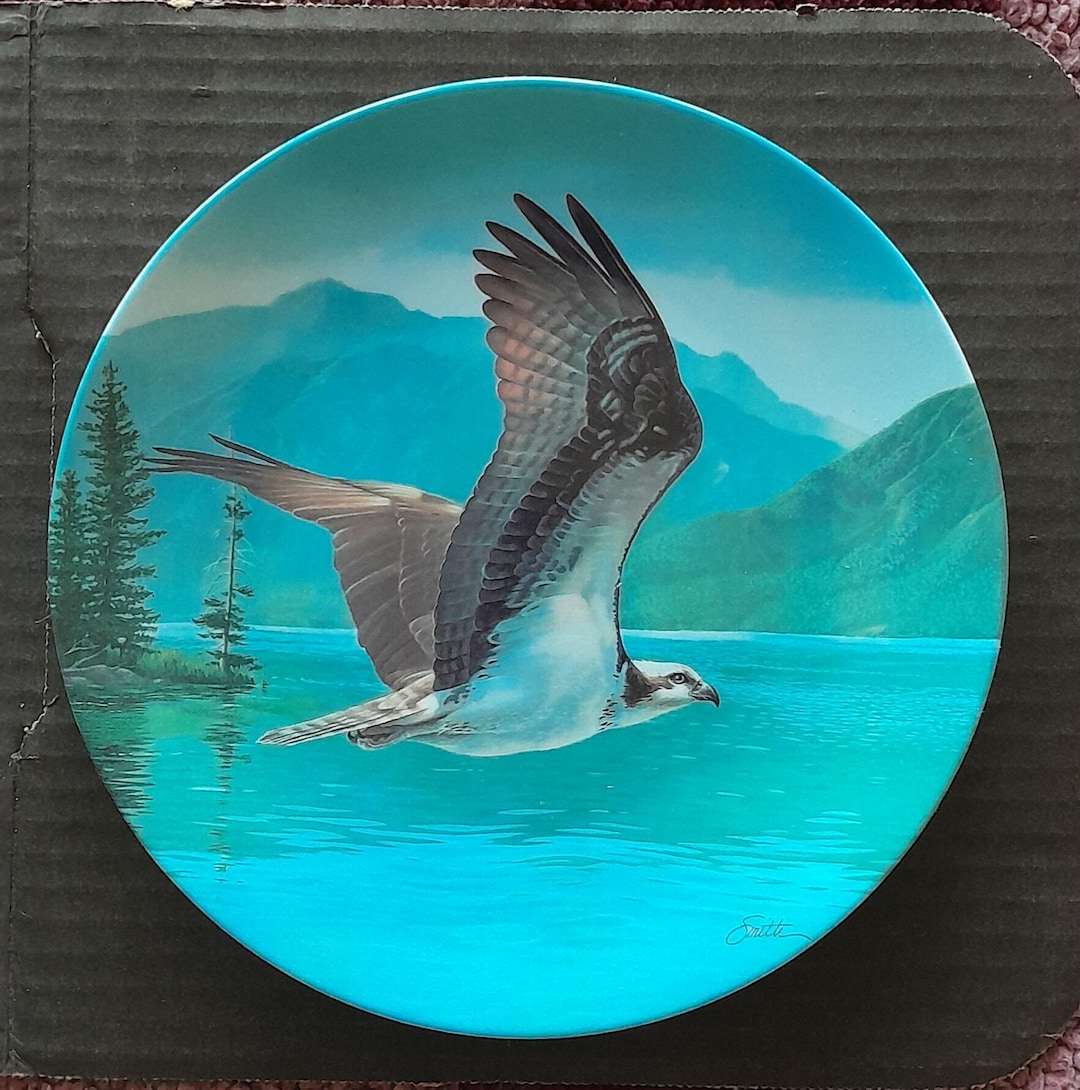 Rare Osprey Plate by Daniel Smith - Etsy