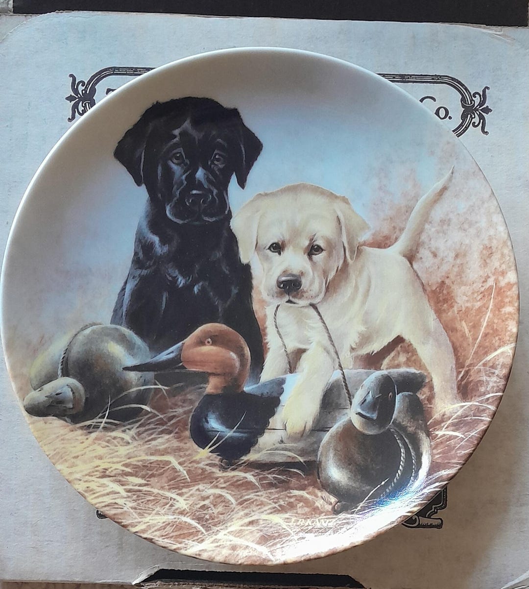 Labrador Retriever Pups, a Perfect Set - Etsy