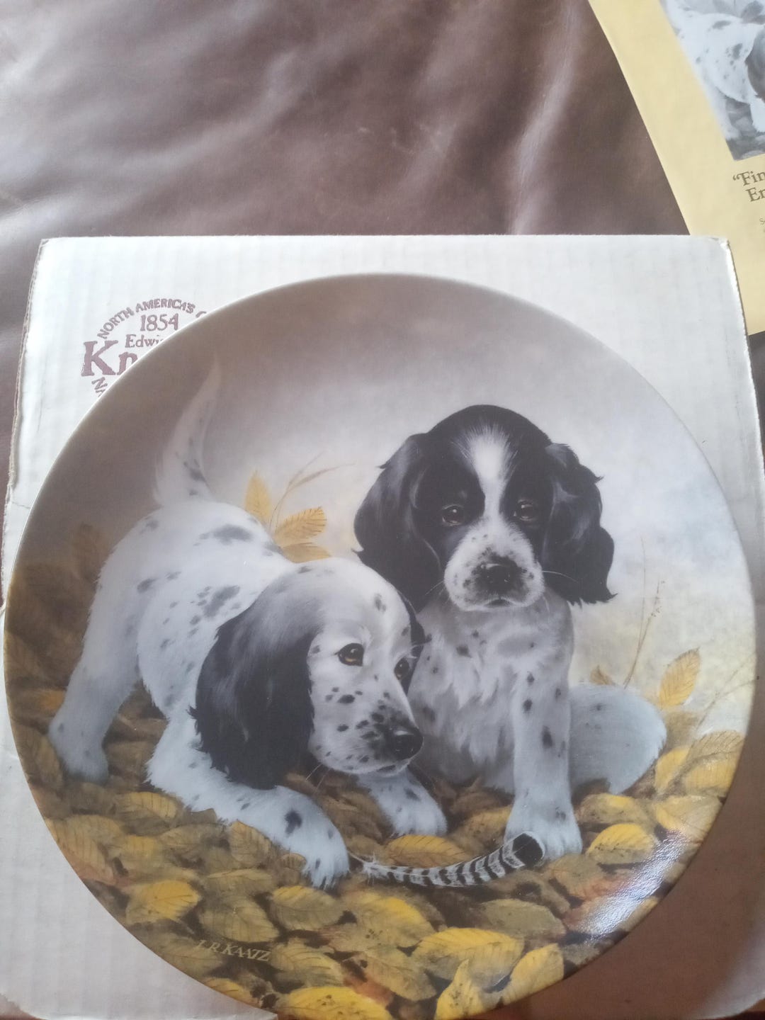 Field of Collection Plate of 2 English Setter Puppies. by Lynn Kaatz ...