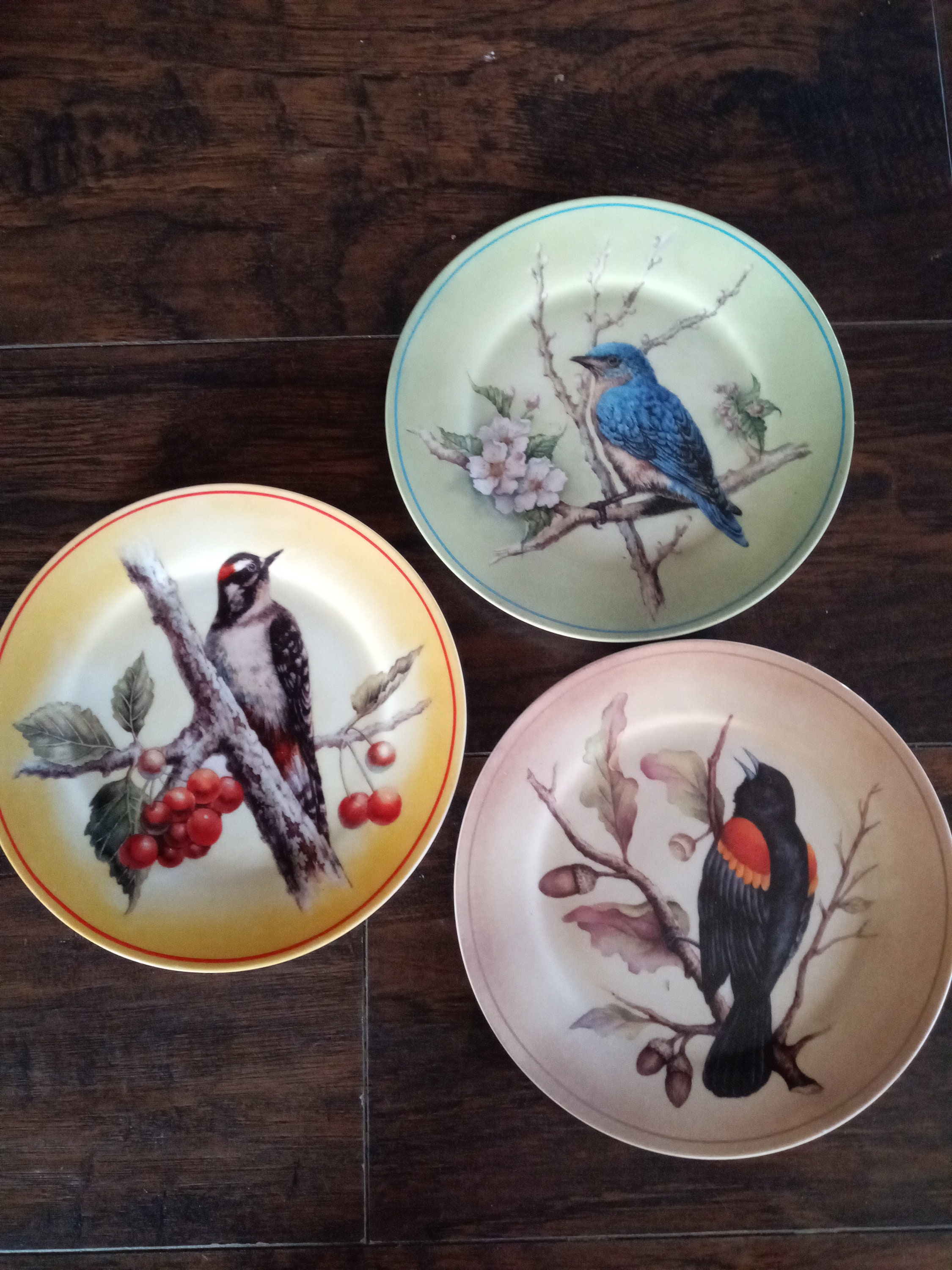 3 WMG Wildlife Bird Plates. Woodpecker, Blue Bird, and Red Wing ...