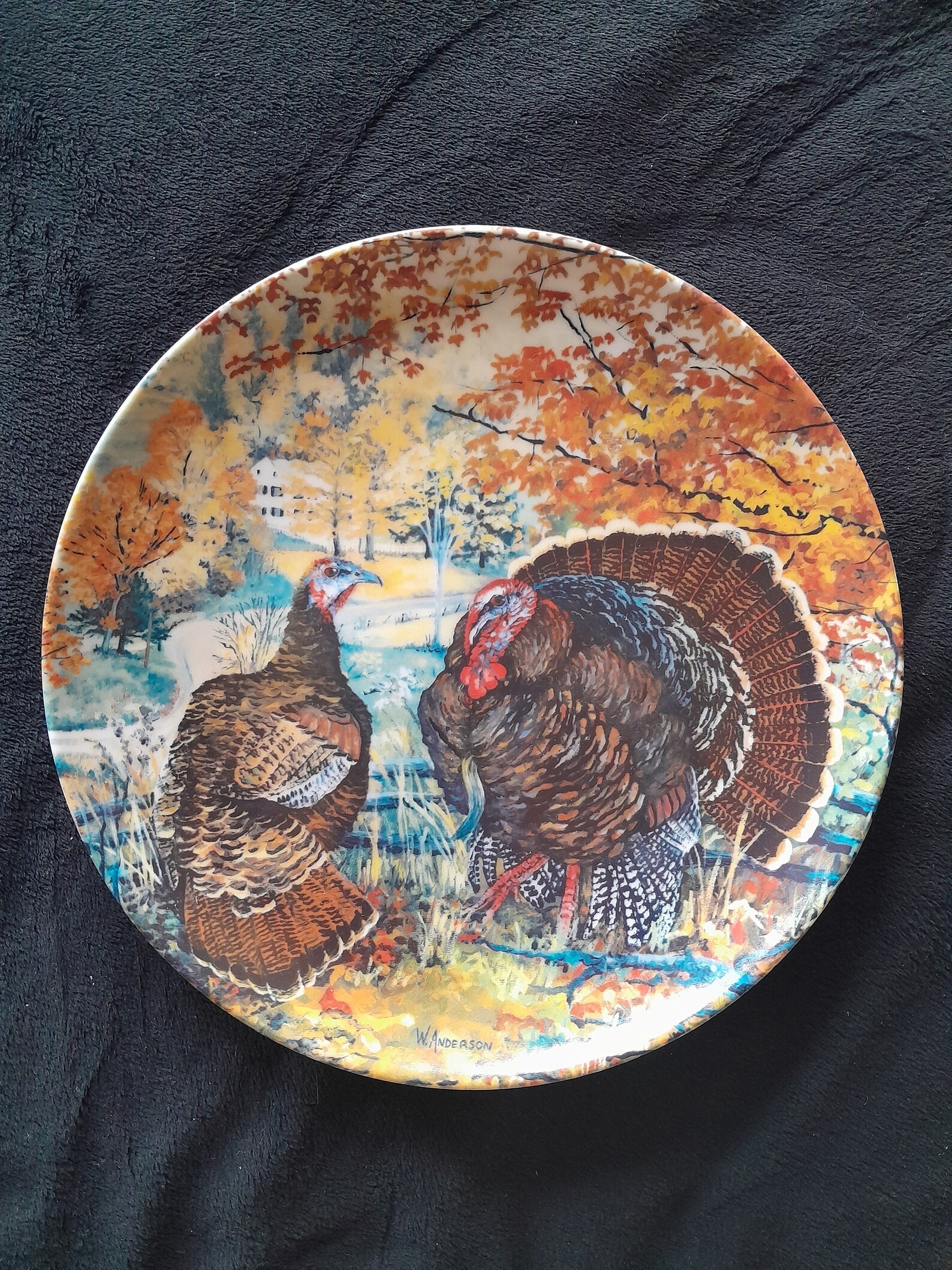Wild Turkey Collector Plate - Etsy