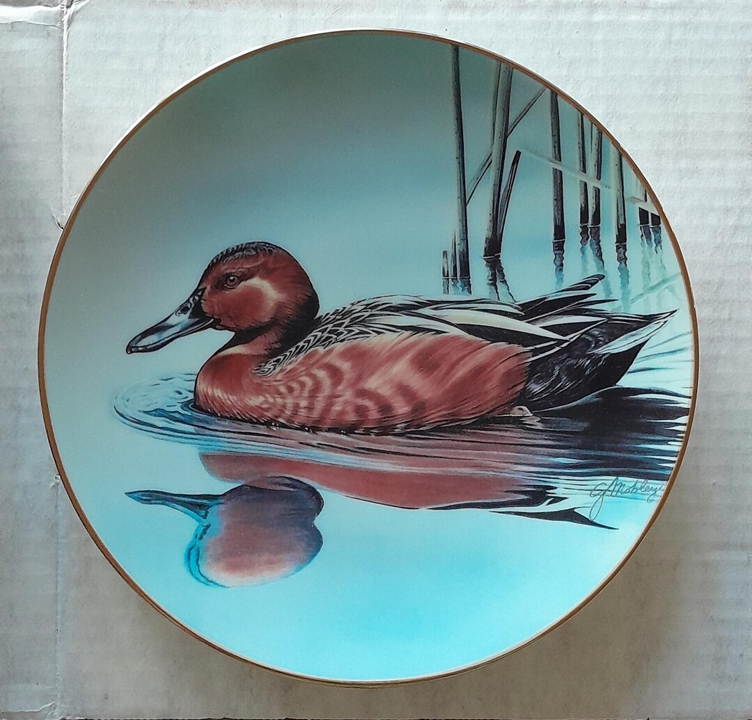 Cinnamon Teal by Gerald Mobley 1991 Federal Duck Stamp Winner - Etsy